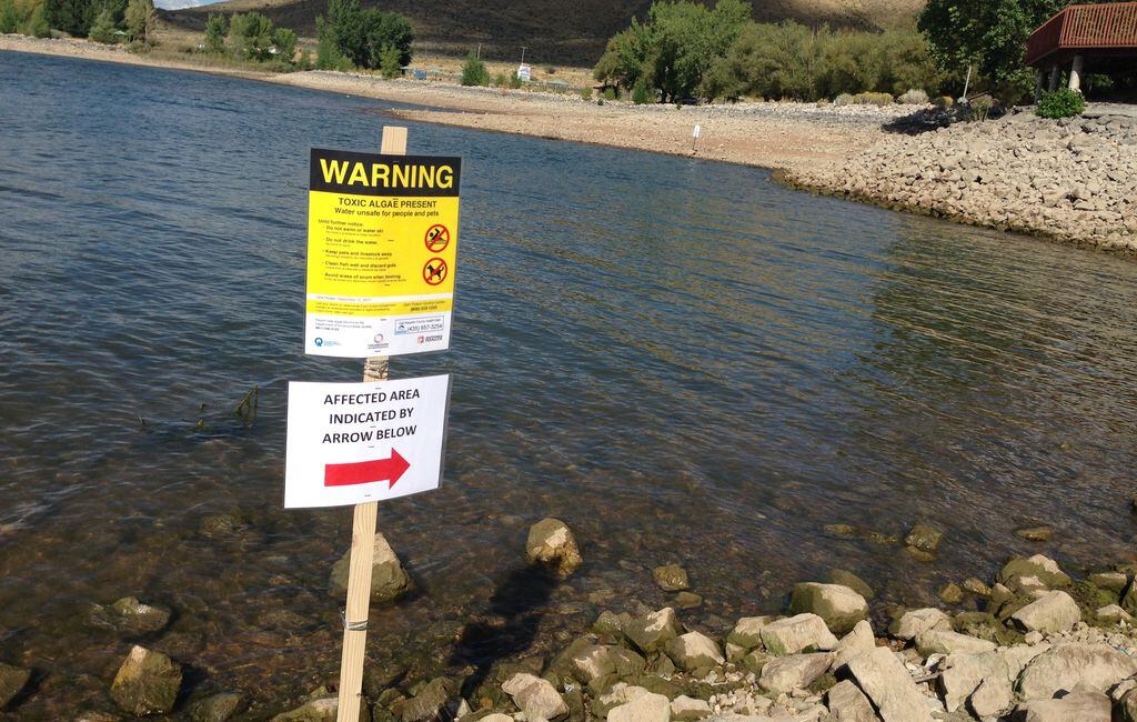 Are Dogs Allowed At Deer Creek Reservoir