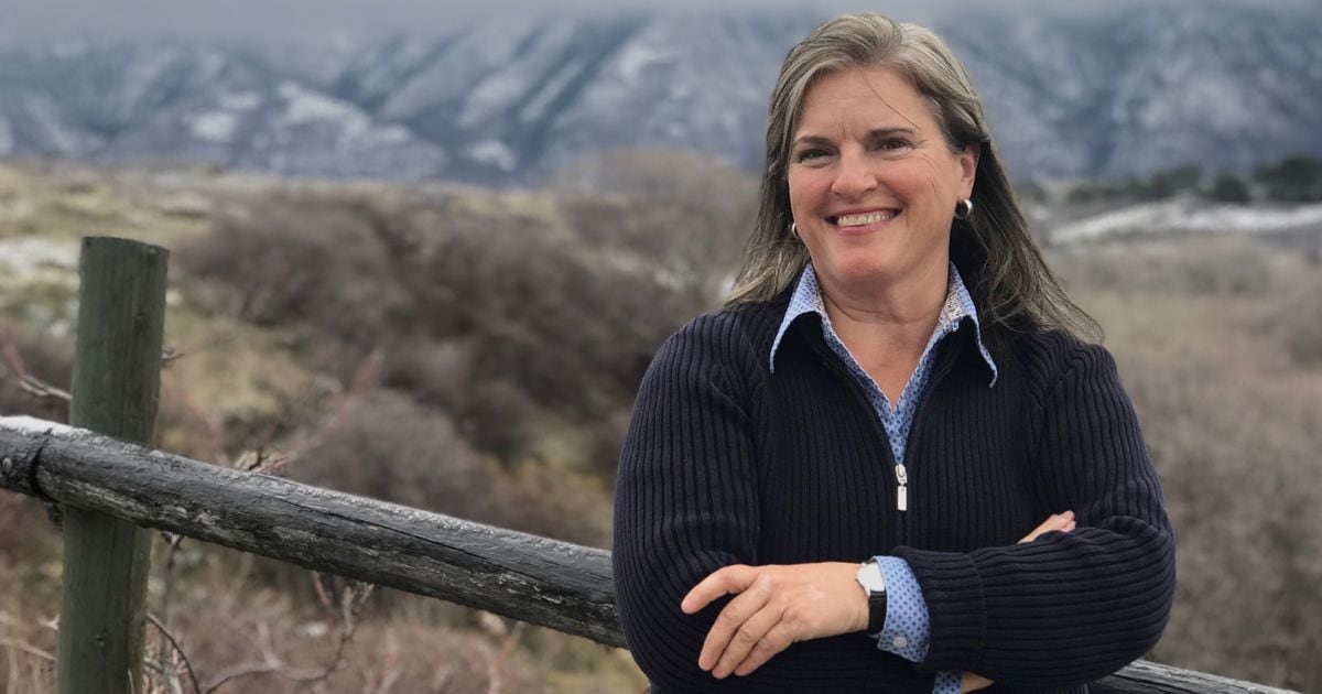 Democrat files as a write-in candidate for Sandy’s Senate District 9 ...