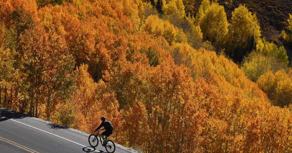 Fall color lights up the Wasatch Front