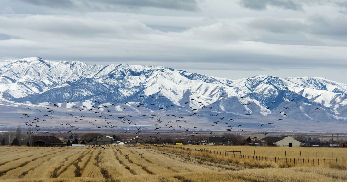 Plans are shaping up for a 12,000-acre satellite inland port in Tooele ...