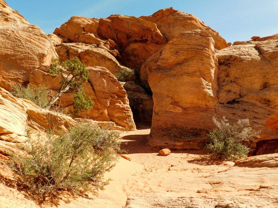 In Utah's Red Cliffs, desert beauty moves at a tortoise’s pace - The ...