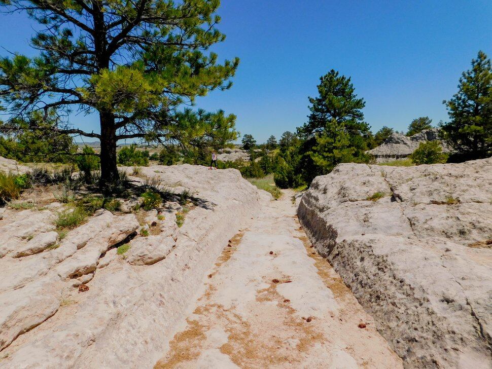 A modern journey on the Oregon Trail tells a story of risk and reward ...