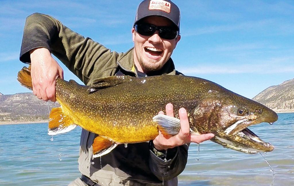 Record Tiger Trout
