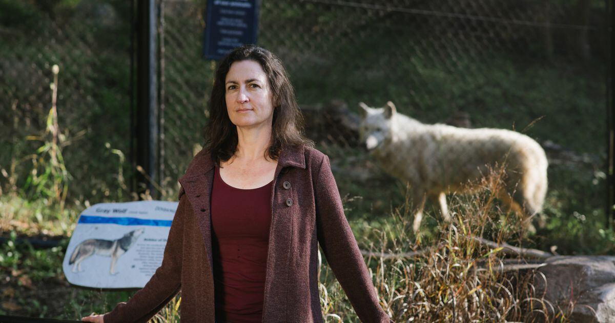 When wolves made a resurgence, her job was to make peace between ...