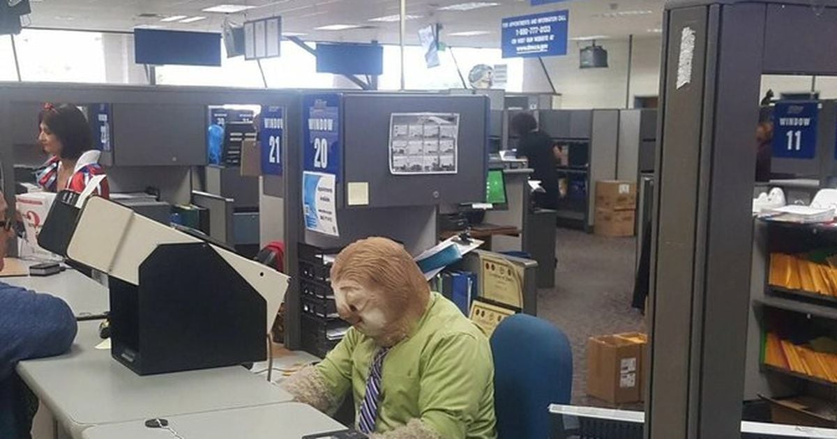 Did you see that photo of a Utah DMV worker dressed as a sloth for ...