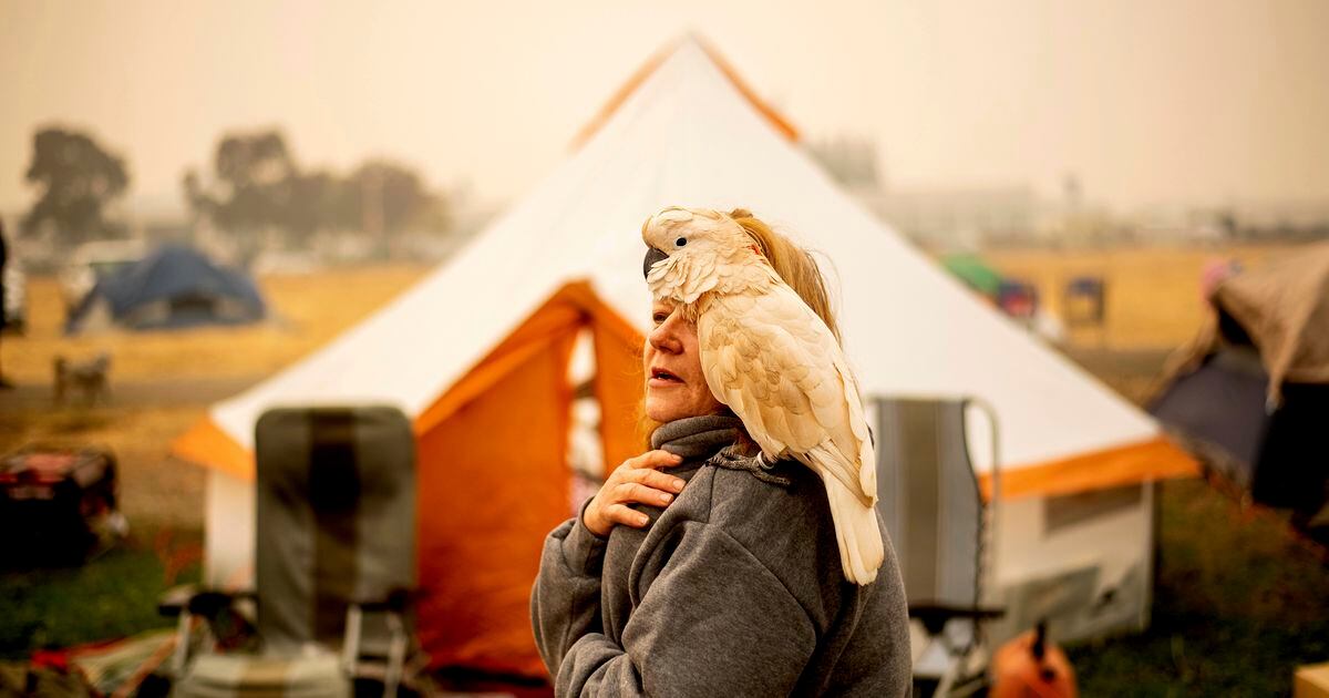 California fire refugees camp in Walmart parking lot amid uncertainty