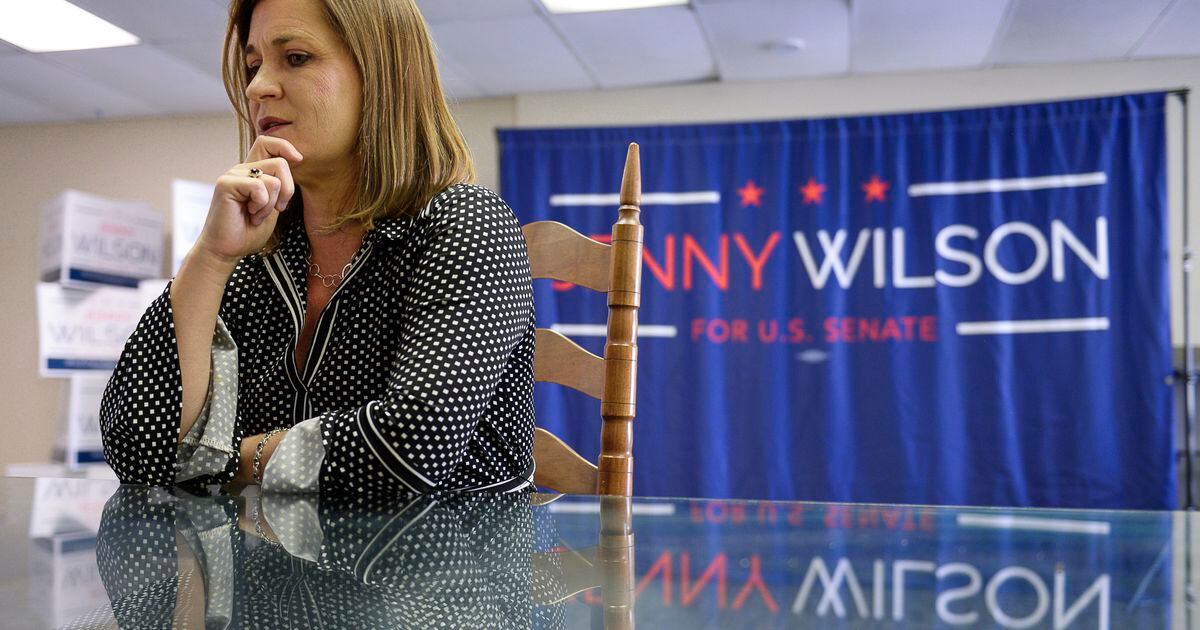 Jenny Wilson, just off the Senate campaign trail, will run for Salt ...