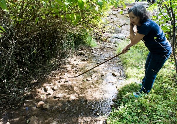 Why is Emigration Creek — a historic Utah waterway — dry? Blame runs ...
