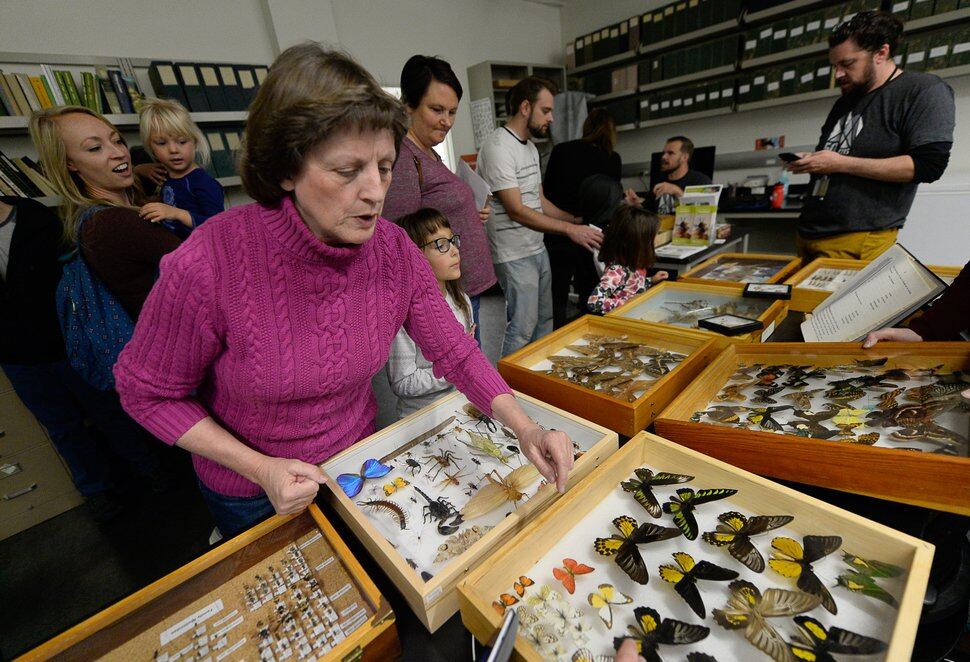 Citizen scientists played key role in building Utah museum’s vast ...