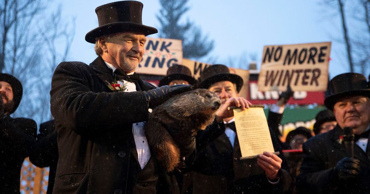 Punxsutawney Phil declares early spring ‘a certainty’
