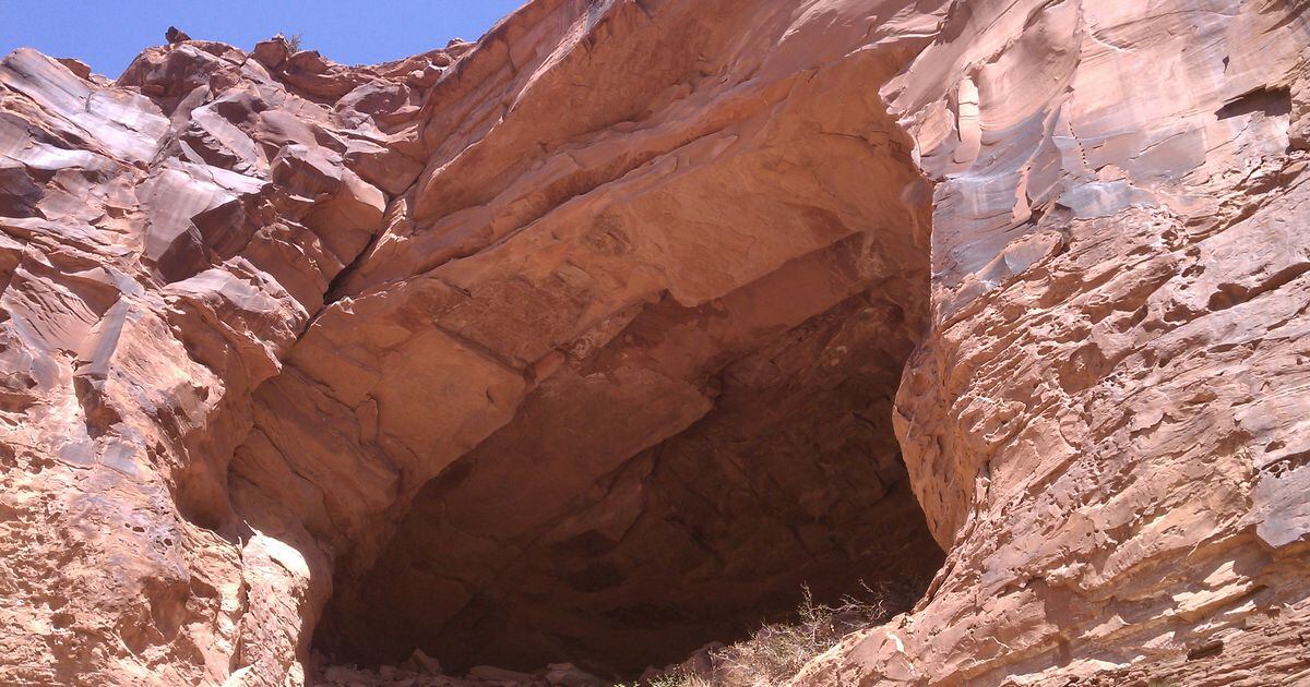 Fur trapper charged with six misdemeanors after illegal beaver trap ...