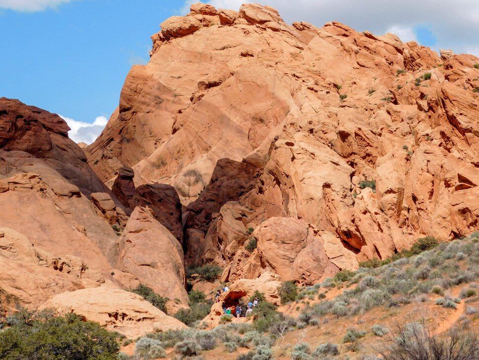 In Utah's Red Cliffs, desert beauty moves at a tortoise’s pace - The ...