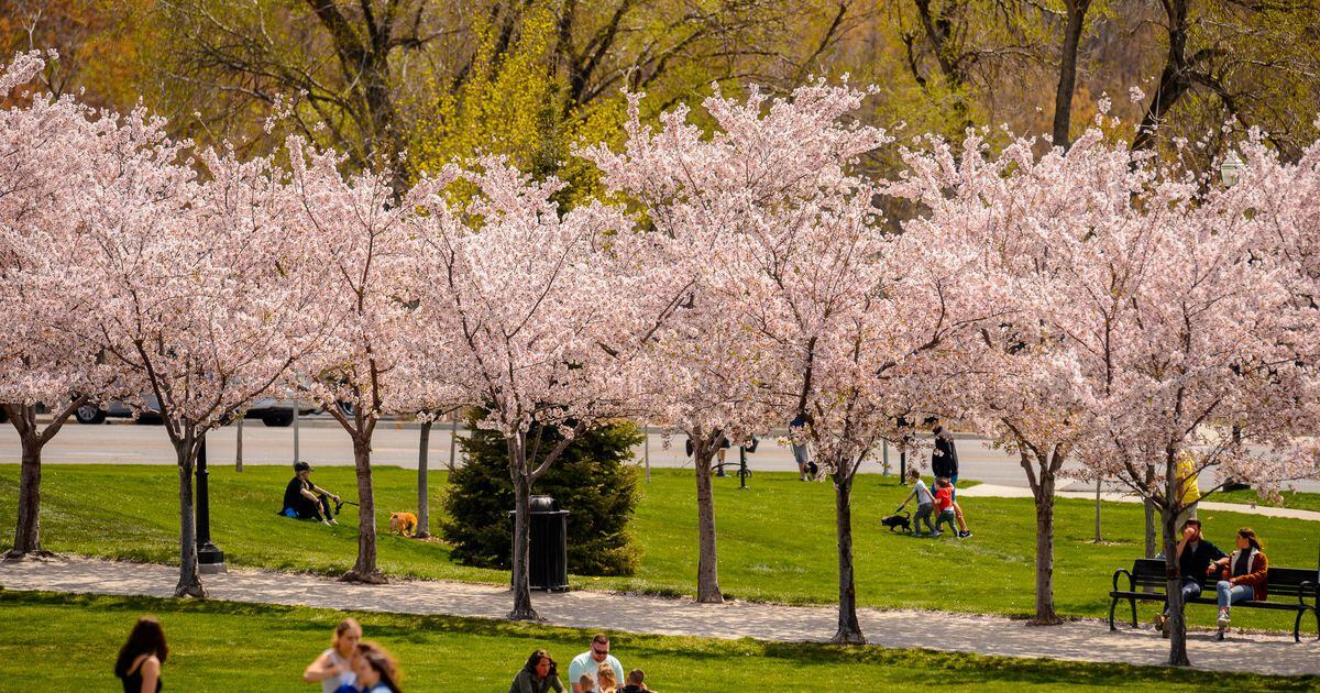 At Utah’s Capitol, hundreds gather on Easter weekend, despite social ...