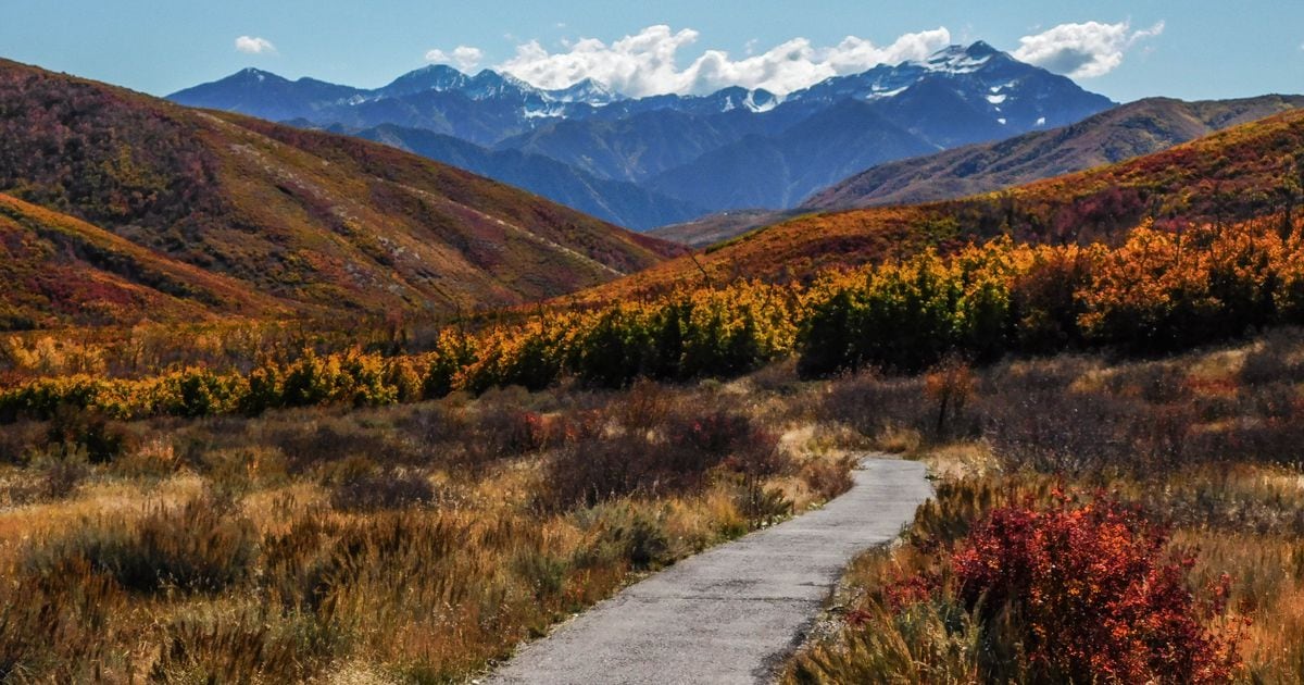 For Utah’s beautiful autumn leaves, wheelchair access and a living ...