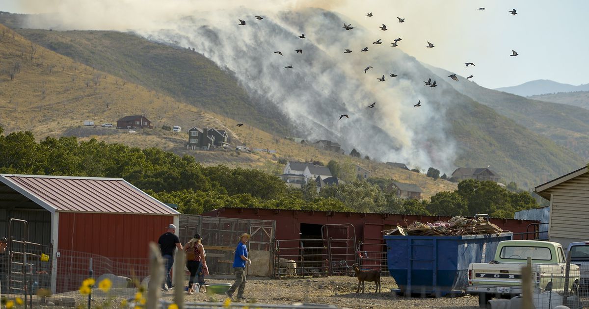Rose Canyon wildfire that threatened homes is ‘on the downswing ...
