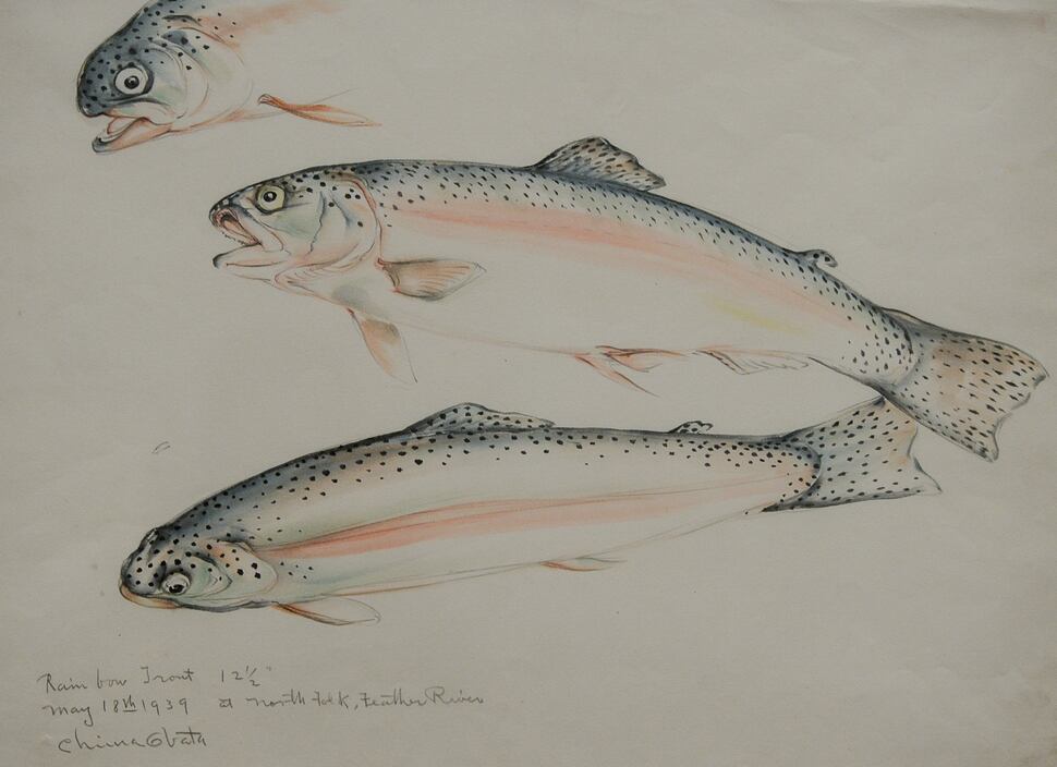 Chiura Obata, who painted natural wonders and hardships of Japanese ...