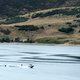 Utah County man catches a record-breaking splake in a reservoir known ...