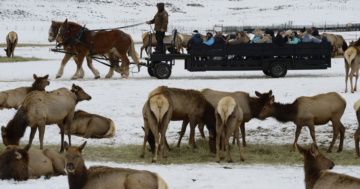 Hardware Ranch, a Utah winter tradition, opens this weekend