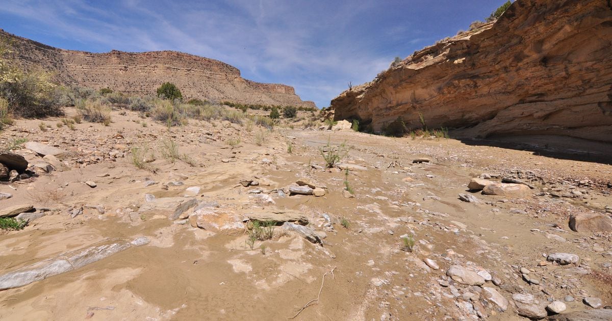 Bellwether trial starts on Utah’s claims to 12,000 roads on federal land