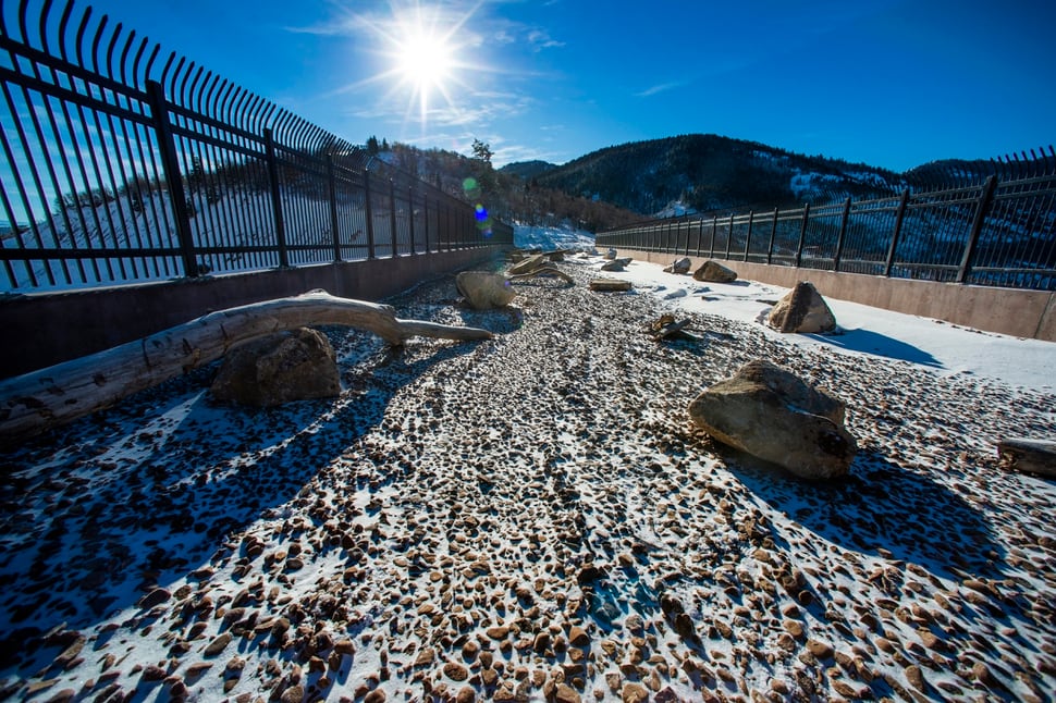 New overpass finished at Parleys summit — just for wildlife to cross I ...