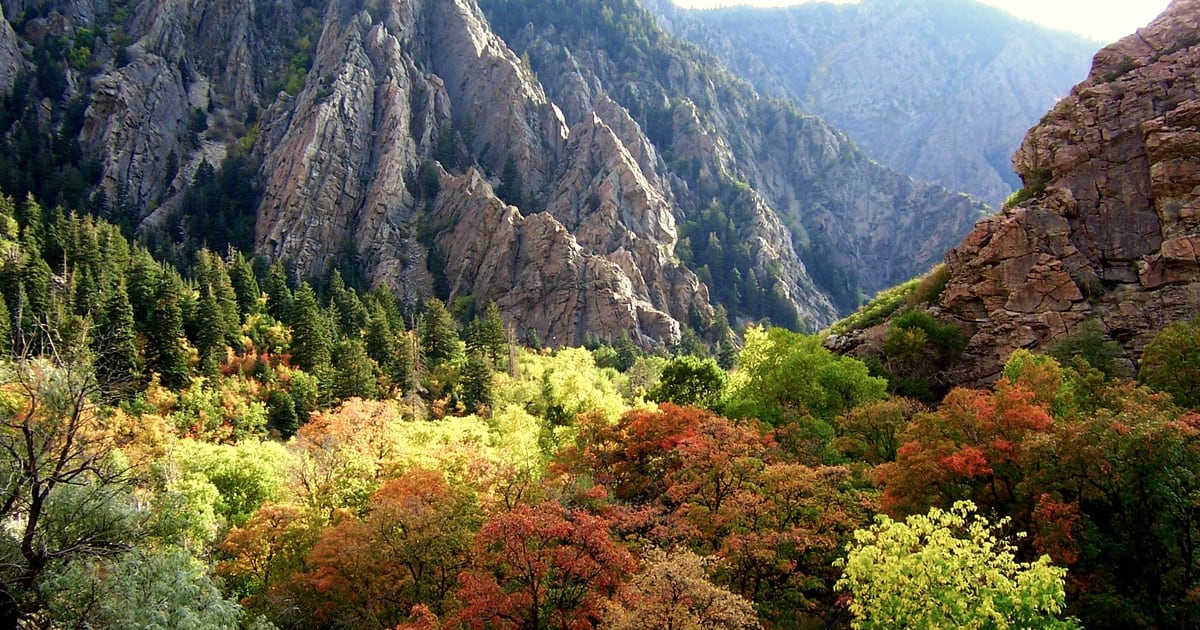 10 top spots for Utah’s fall colors - The Salt Lake Tribune