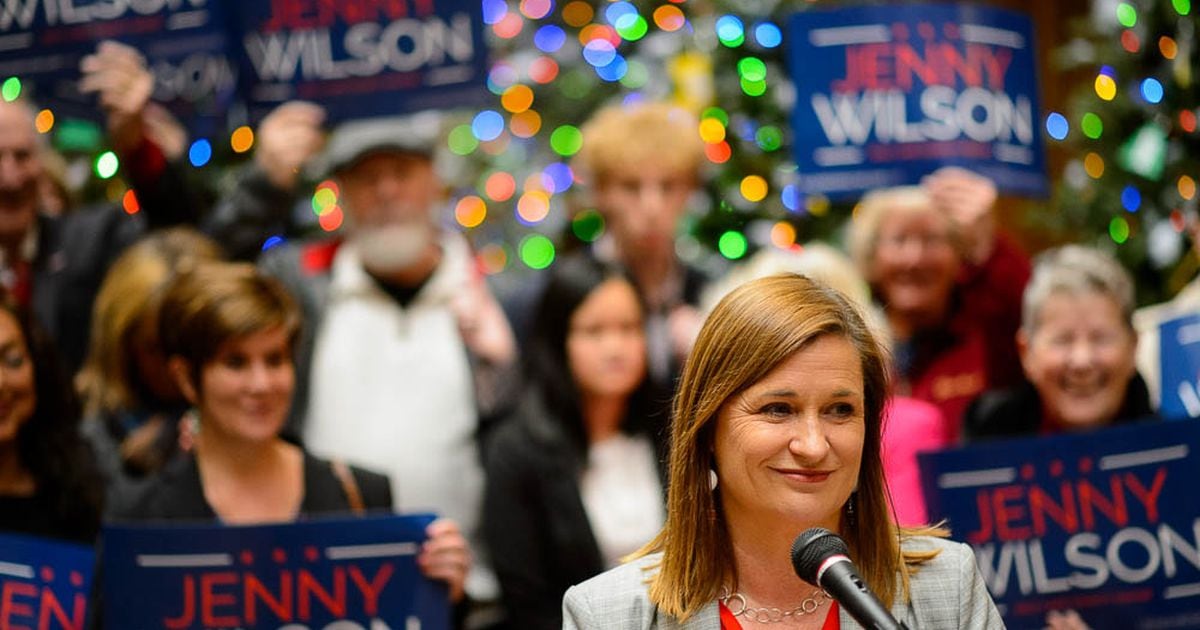 Jenny Wilson announces plans to run for county mayor — now and in 2020