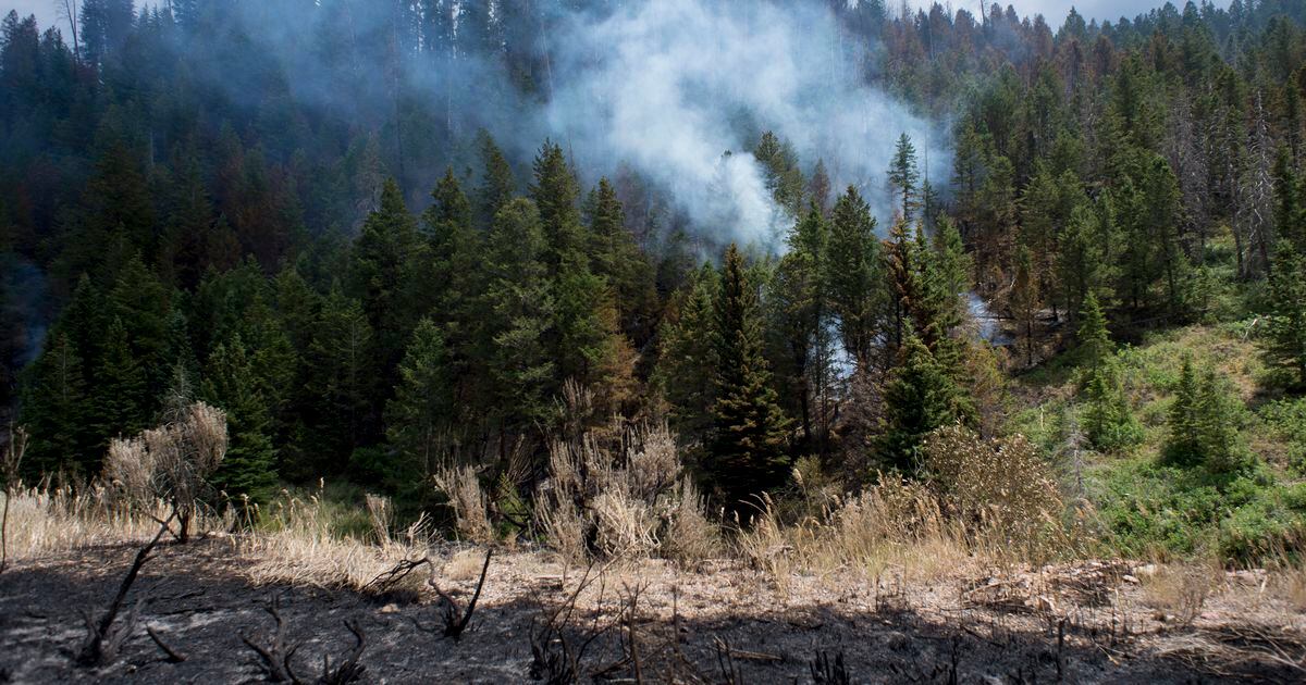 As officials reveal which houses and trailers the Dollar Ridge Fire ...