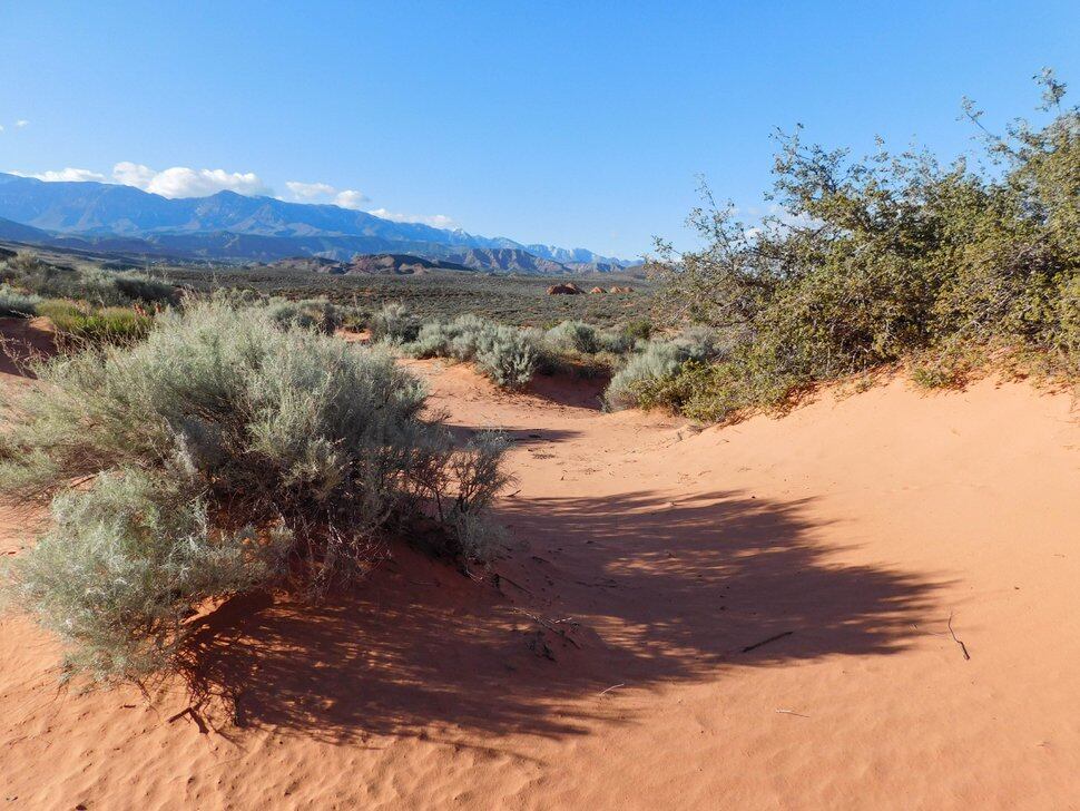In Utah's Red Cliffs, desert beauty moves at a tortoise’s pace - The ...