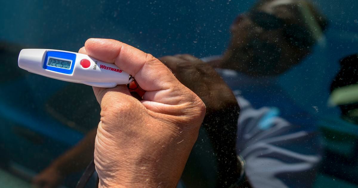 The heat is killing Utah dogs — and their owners could have prevented ...