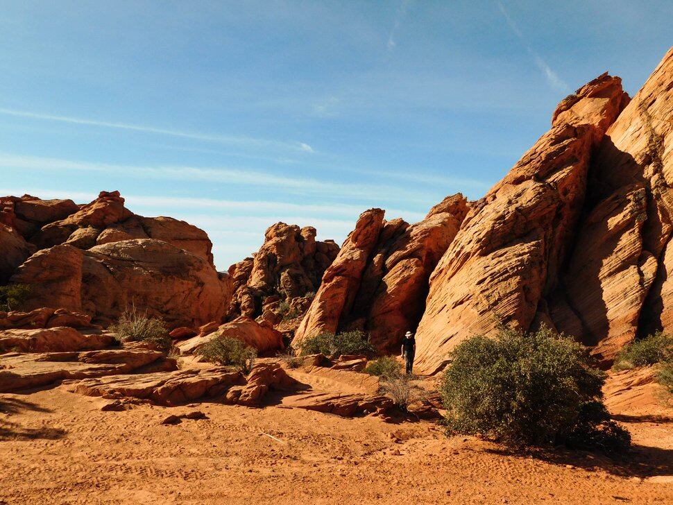 In Utah's Red Cliffs, desert beauty moves at a tortoise’s pace - The ...