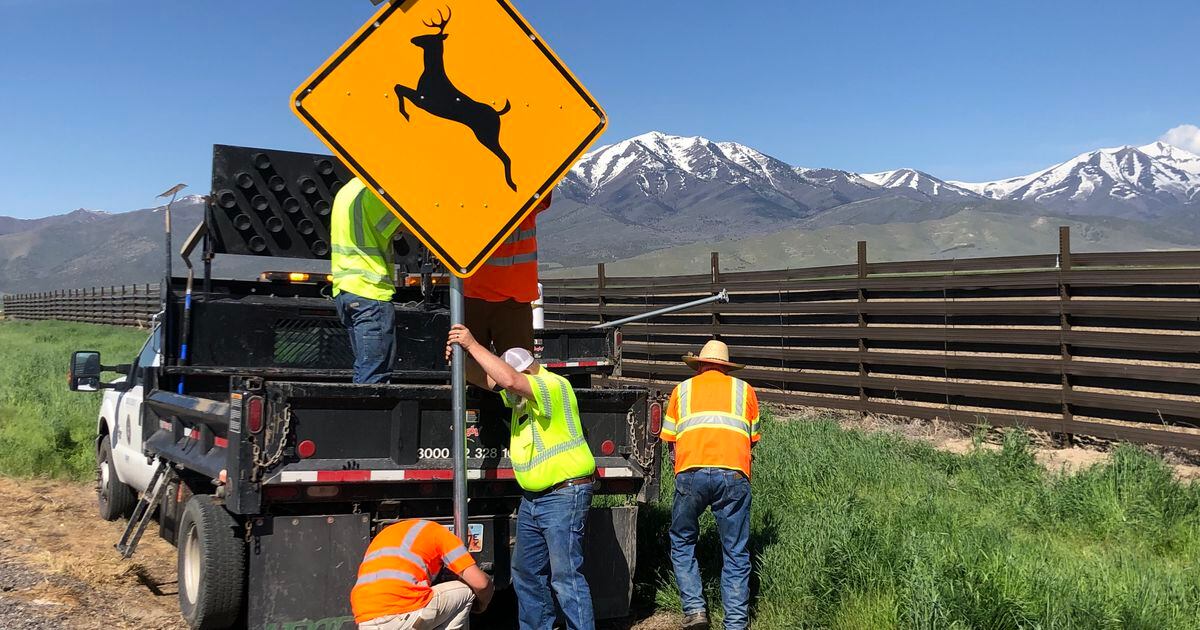 UDOT installs new radar-triggered signs that warn drivers when wildlife ...