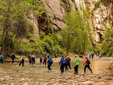 Hope Woodside leaves FOX 13 after almost 23 years behind the anchor ...