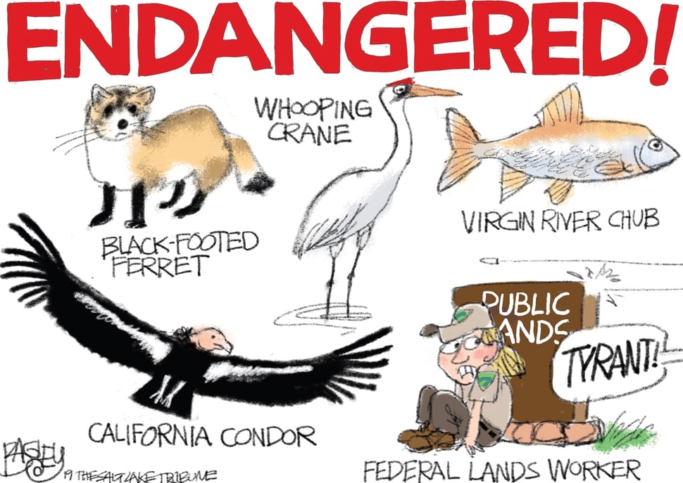 Bagley Cartoon: Endangered Species - The Salt Lake Tribune