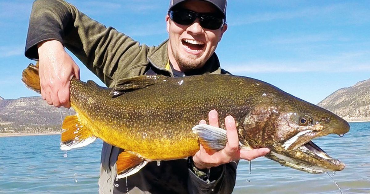 World Record Tiger Trout