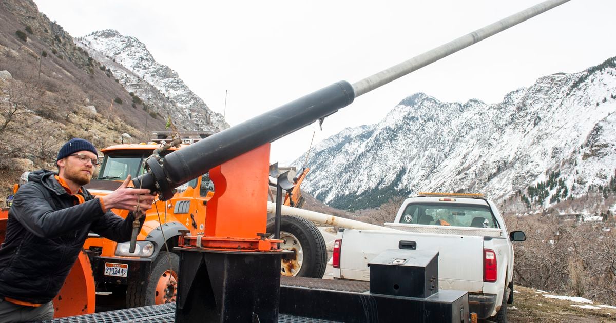 Every year about 500 avalanches crash down the slopes of Little ...