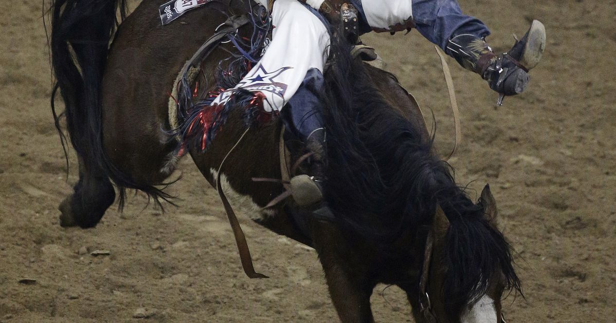 Rodeo: Four-time world champ bareback rider Kaycee Feild ready for Days ...