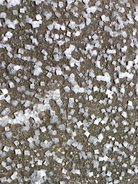 The Great Salt Lake is drying up, and a Utah scientist is trying to ...