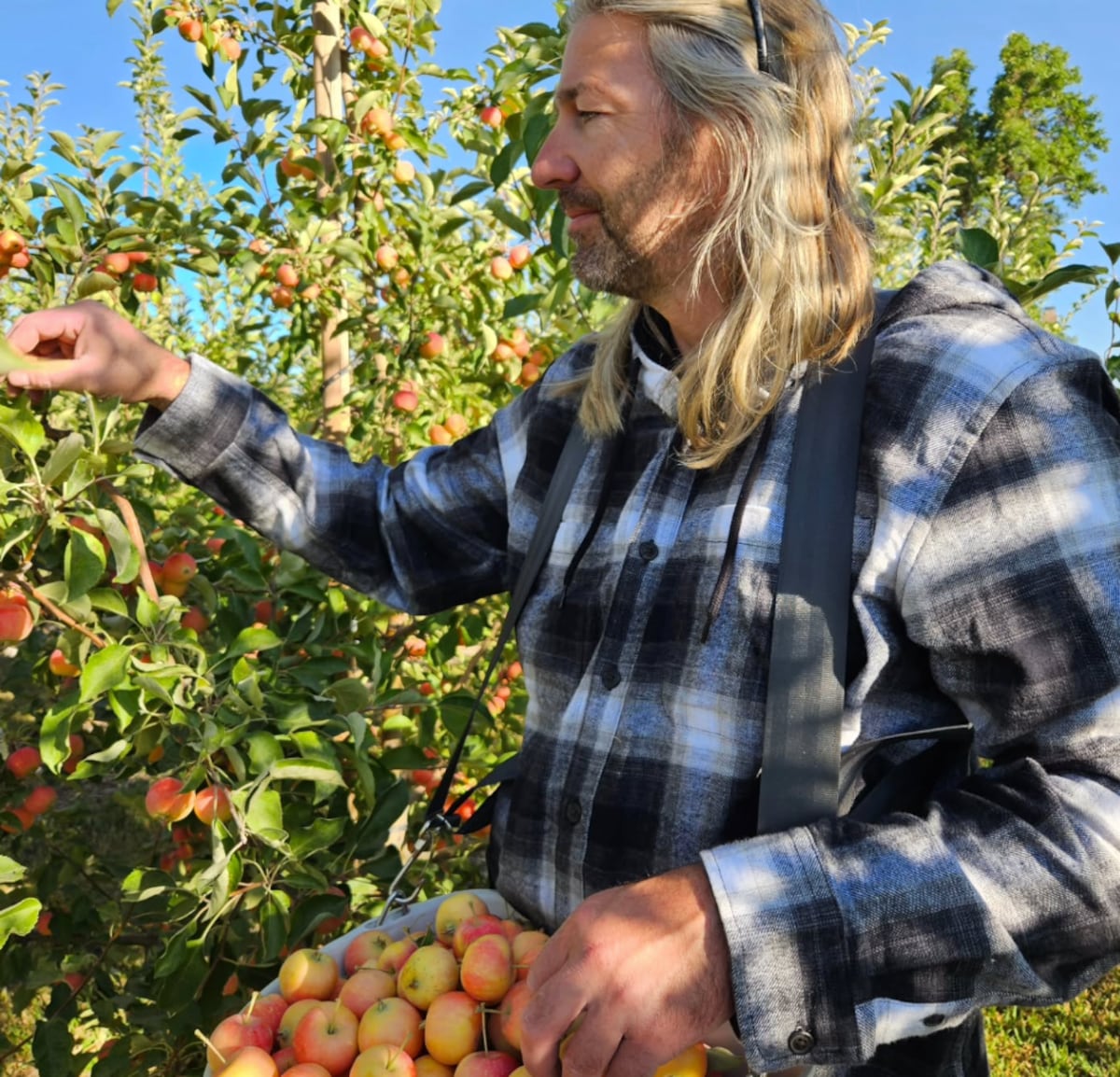 Hobbled Dog Cidery is making hard ciders in Logan