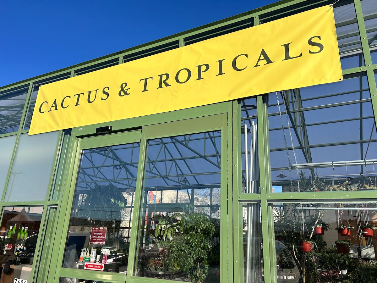 Catcus & Tropicals expands to third location in Salt Lake County