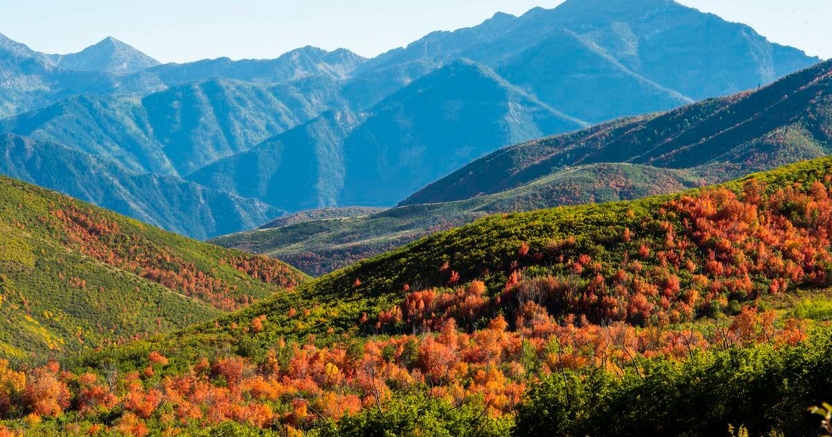 Photos: Leaves are changing along the Alpine Loop in American Fork Canyon
