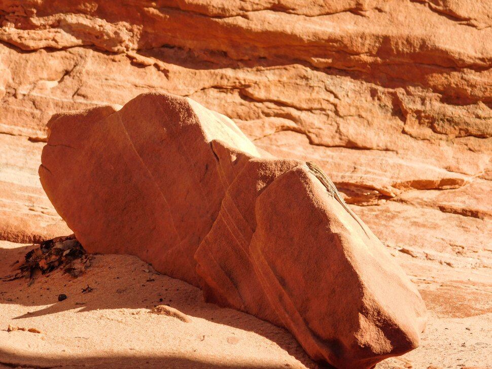 In Utah's Red Cliffs, desert beauty moves at a tortoise’s pace - The ...