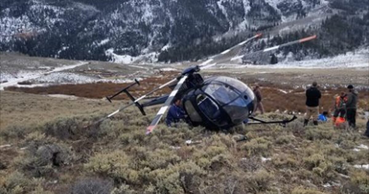 Elk brings down helicopter in eastern Utah